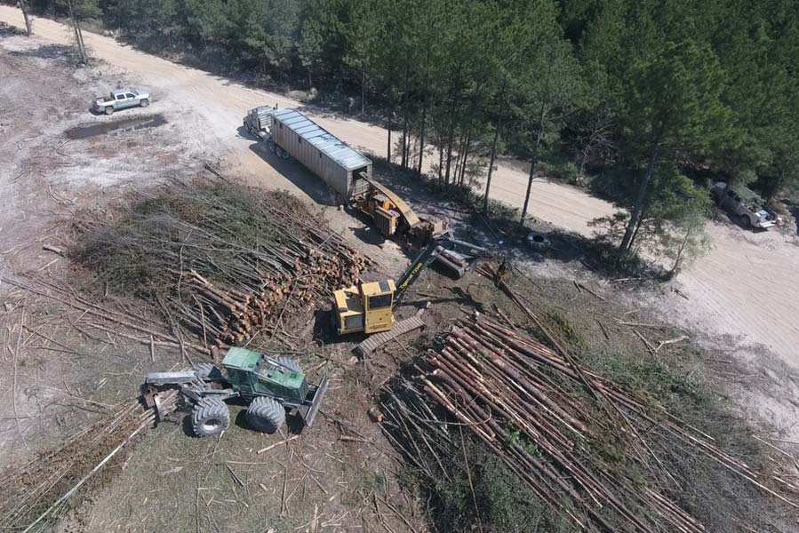 Timber Harvesting in Warren, AR | Timber Logistics