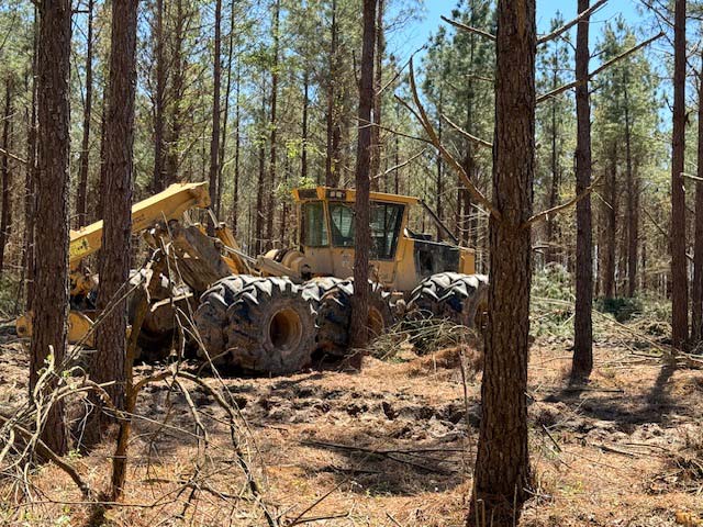 Timber Harvesting in Warren, AR | Timber Logistics